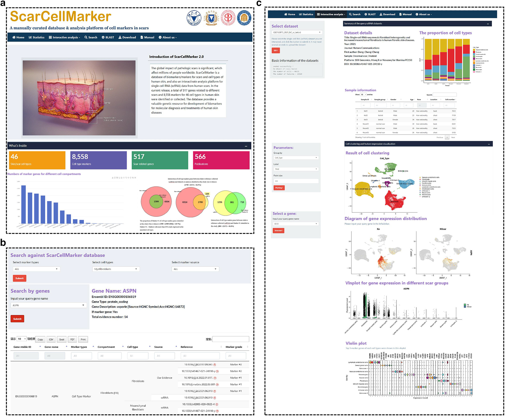 姚洁(Jie Yao)的主页